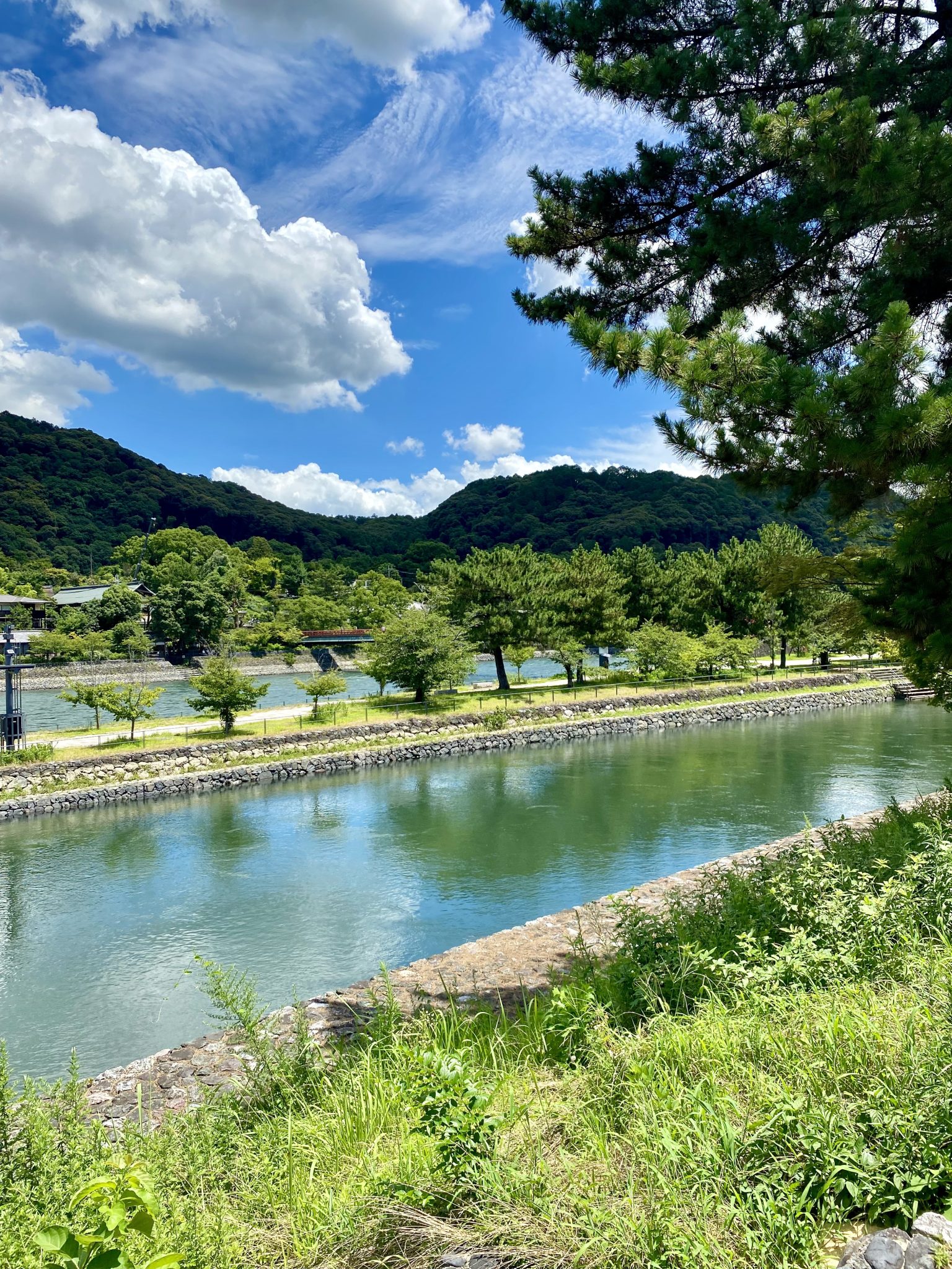 Matcha Madness in Uji: A Guide to the Best Green Tea Spots and Activities