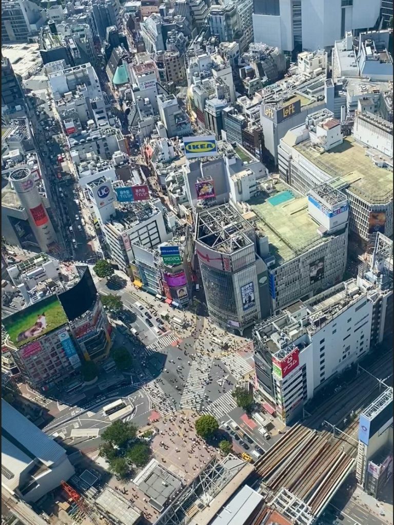 7 Days in Tokyo: First Timer Itinerary