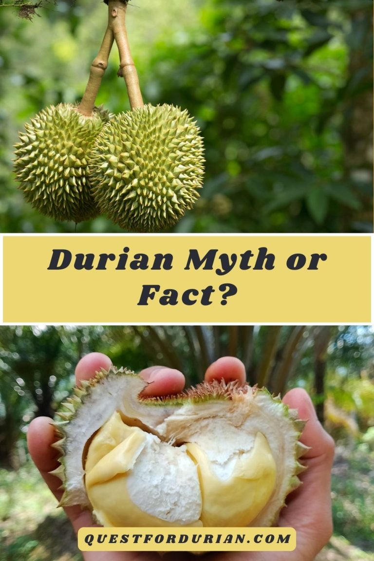 Durian Myth or Fact Quiz