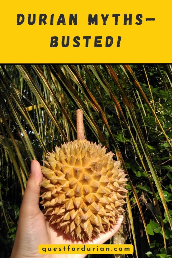 Durian Myth or Fact Quiz