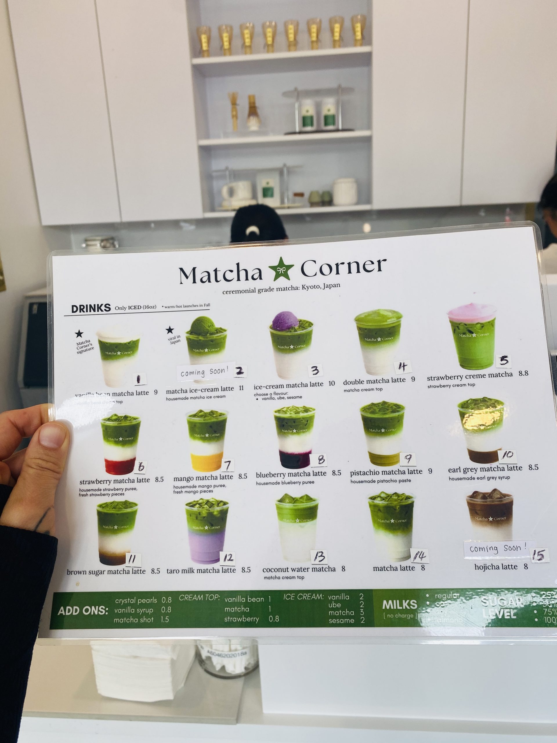 Matcha Cafés in Vancouver: 7 Must-Try Spots for Green Tea Lovers