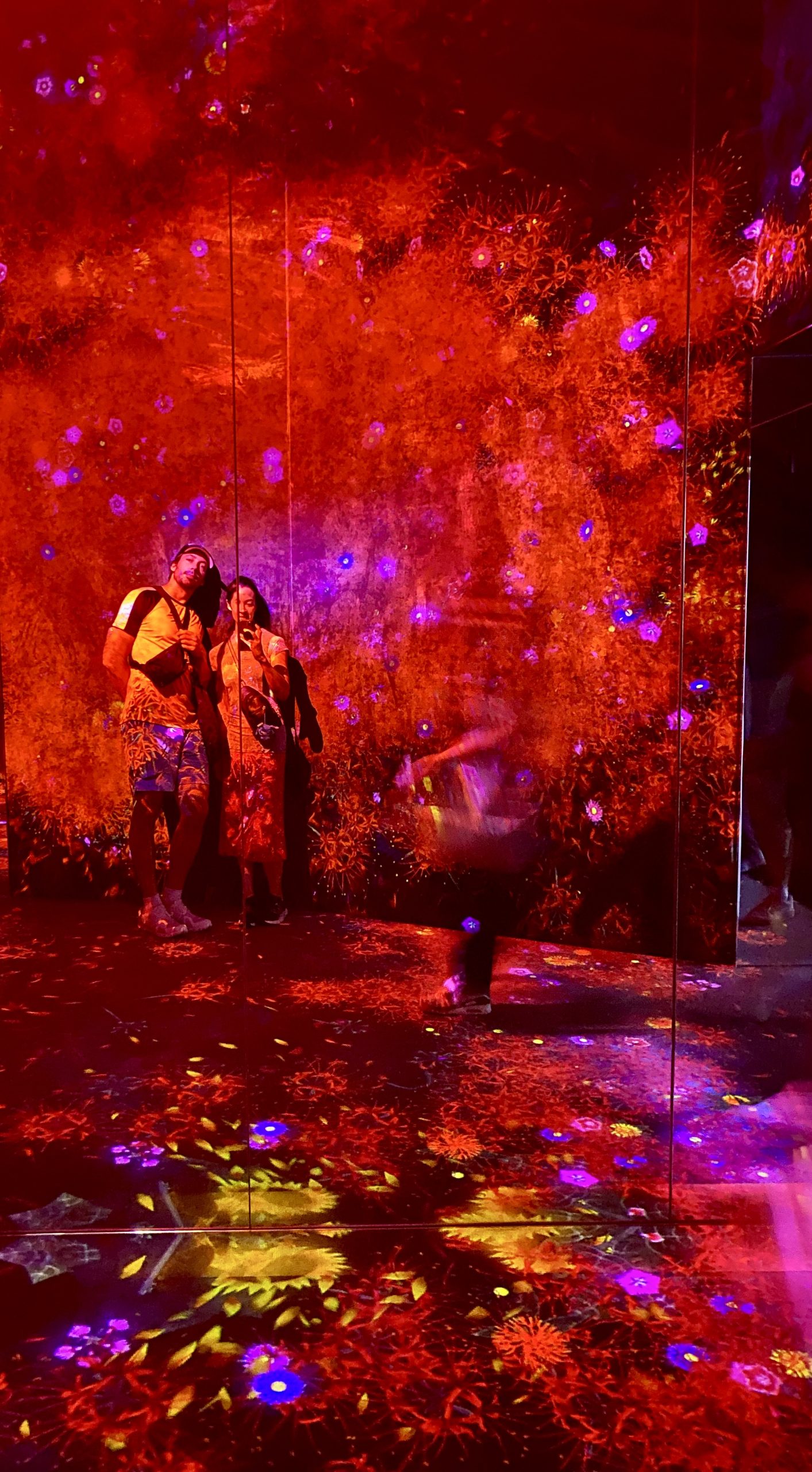 teamLab Borderless vs teamLab Planets Tokyo: Which Is Worth Visiting in ...