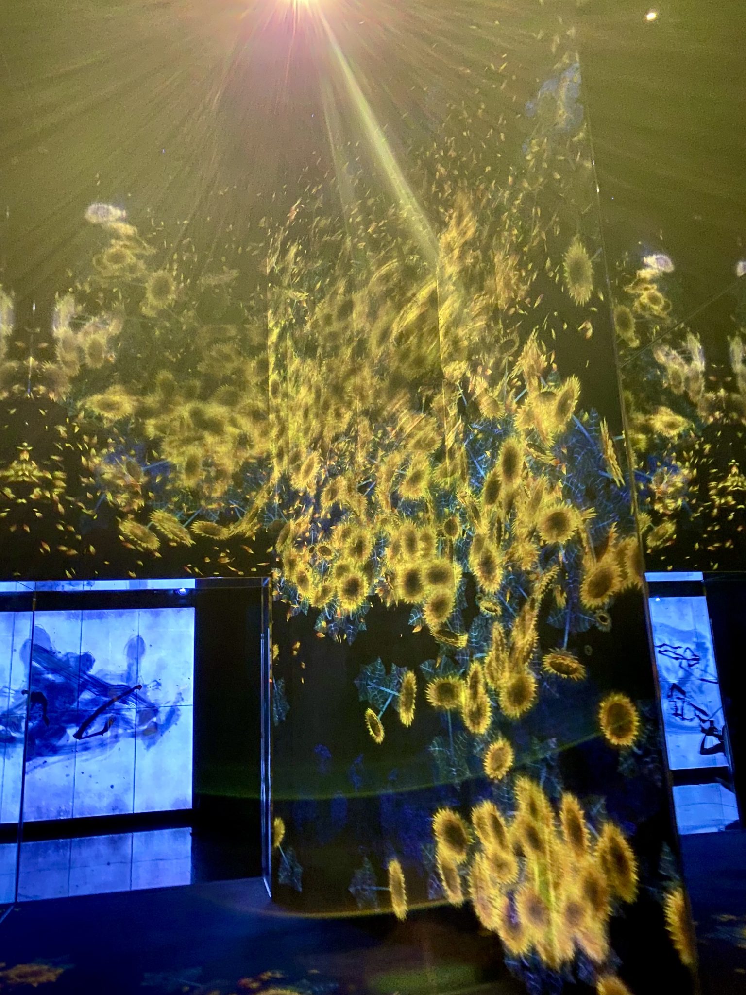 teamLab Borderless vs teamLab Planets Tokyo: Which Is Worth Visiting in ...