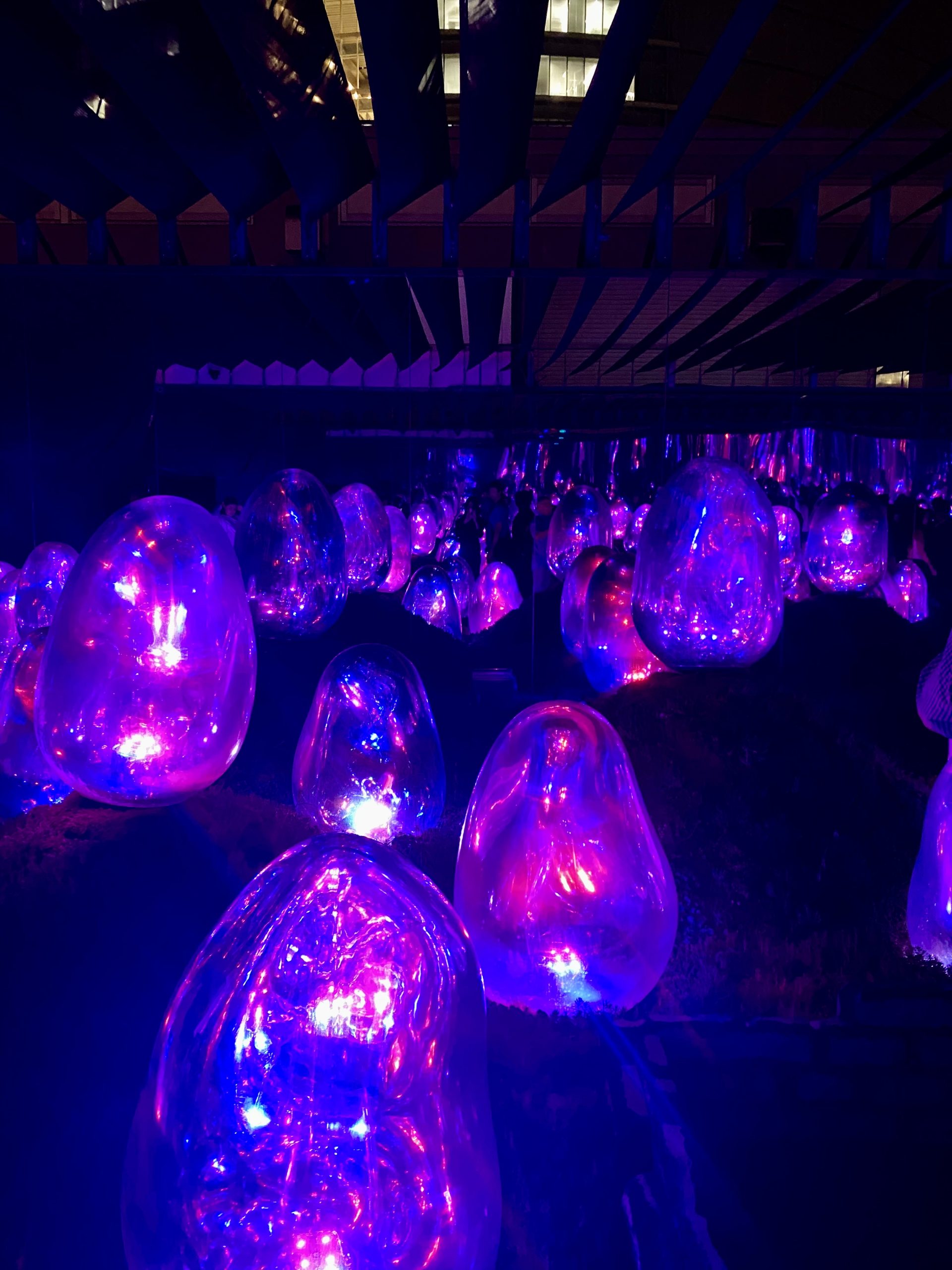 teamLab Borderless vs teamLab Planets Tokyo: Which Is Worth Visiting in 2026?