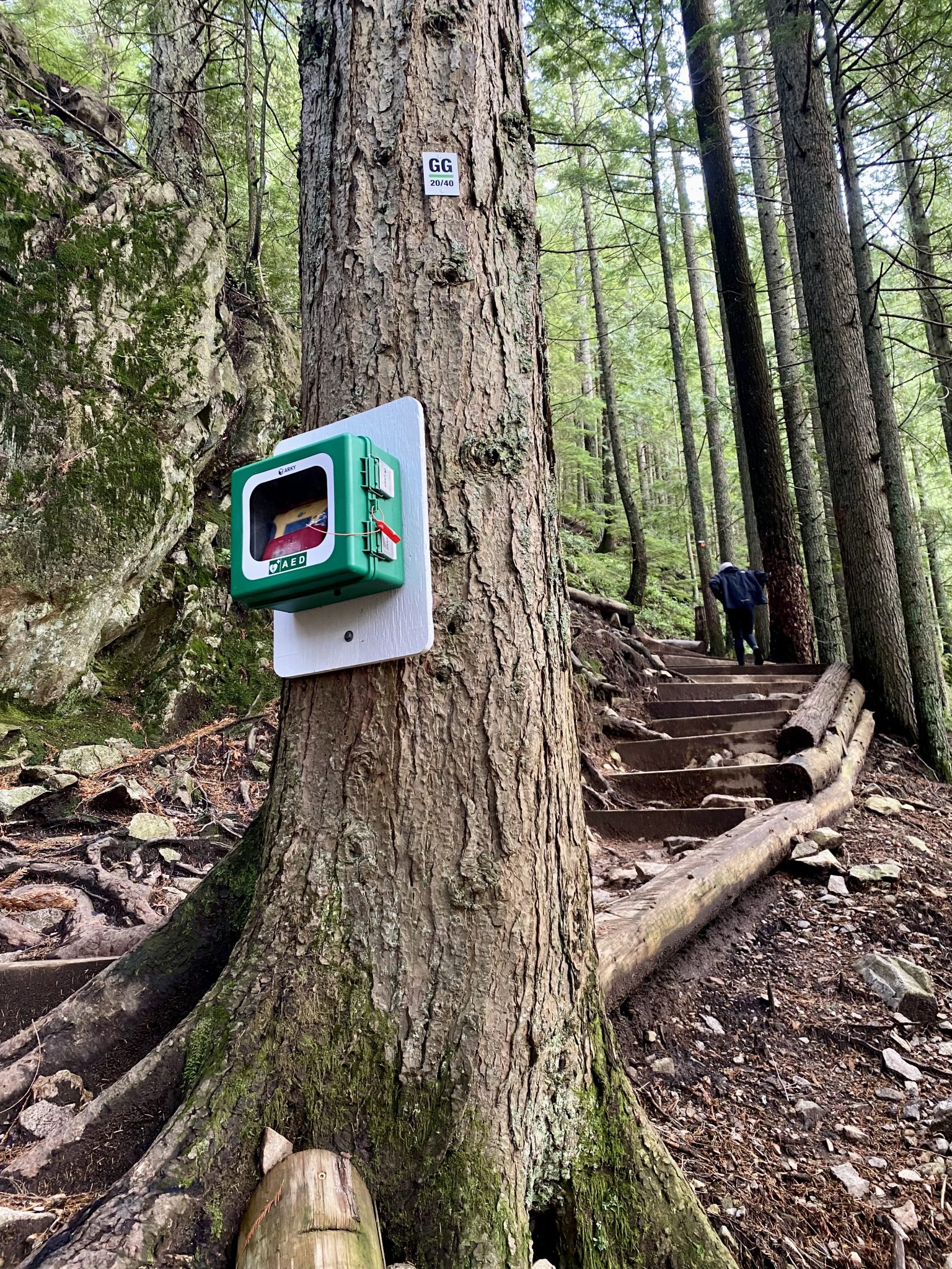 Grouse Grind Vancouver: Tips, Timing & Post-Hike Foodie Stops