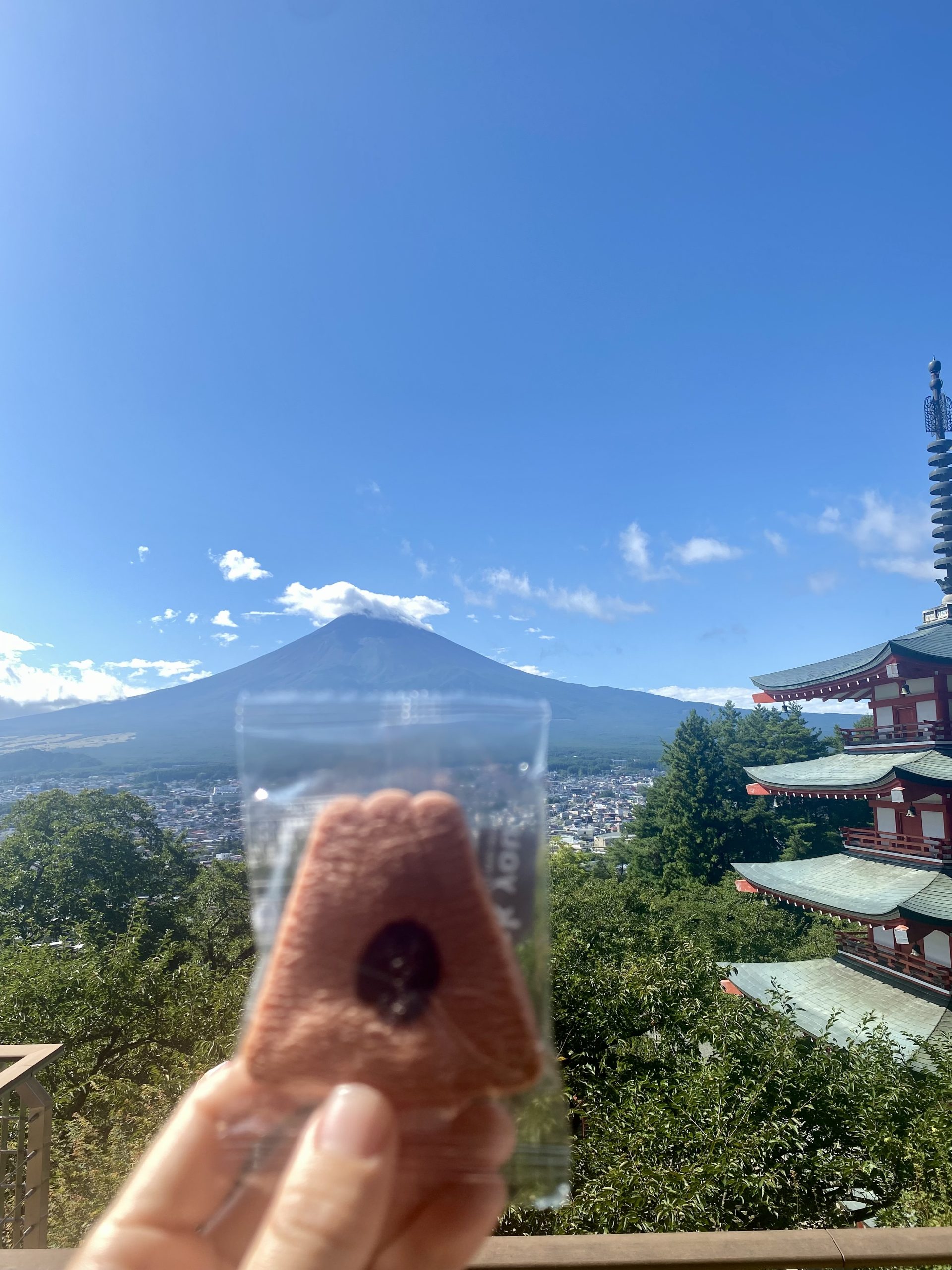 Mt. Fuji Five Lakes Itinerary (Kawaguchiko & Beyond)