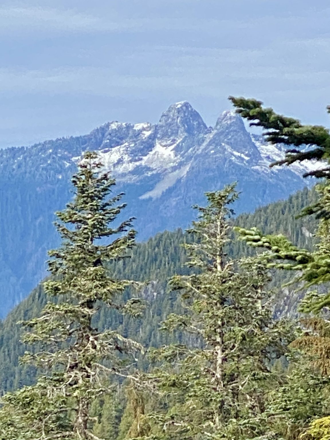 Grouse Grind Vancouver: Tips, Timing & Post-Hike Foodie Stops